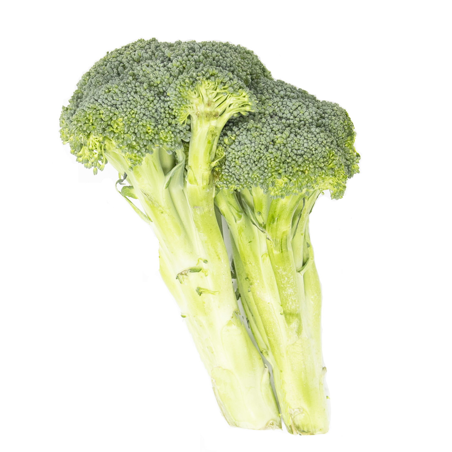 Buy Organic Broccoli 1 Count | Safeway Canada