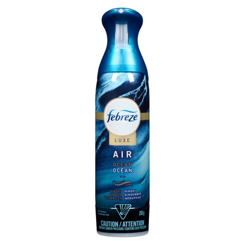 Buy Febreze Air Fresheners Ocean 250 g | FreshCo