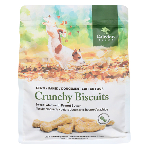 Buy Caledon Farms Dog Treats Crunchy Biscuits Sweet Potato With Peanut ...