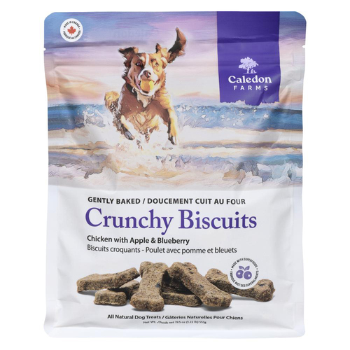 Buy Caledon Farms Dog Treats Crunchy Biscuits Chicken With Apple ...