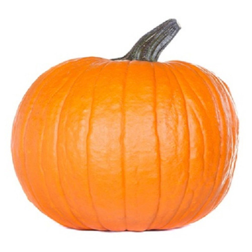 Buy Pumpkin Carving 1 Count | Sobeys Inc.