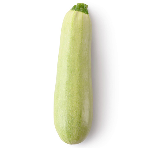Buy Vegetable Marrow Squash 1 Count | Sobeys Inc.