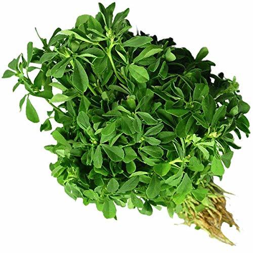 Buy Methi 1 Bunch | FreshCo