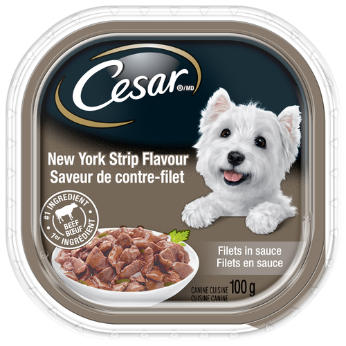 Buy Cesar Wet Dog Food Filets In Sauce New York Strip Flavour 100 g ...