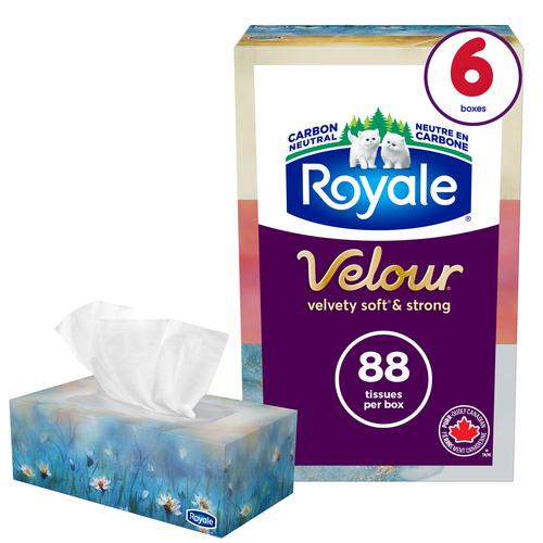 Buy Royale Facial Tissues 3-Ply 6 Boxes x 88 Sheets | Sobeys Inc.