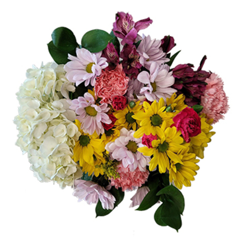 Shop Shop & More | Sobeys Canada