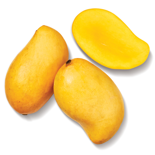 Buy Ataulfo Mango 1 Count | Sobeys Inc.