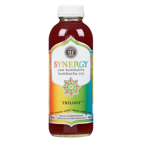 Buy GT's Synergy Organic Raw Trilogy Kombucha 480 ml | Sobeys Inc.