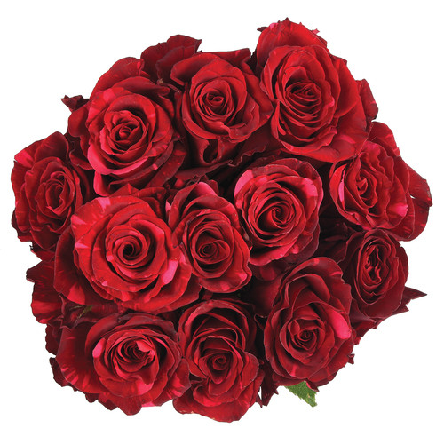 Buy Rose Bouquet 1 Dozen 50 cm | Safeway Canada