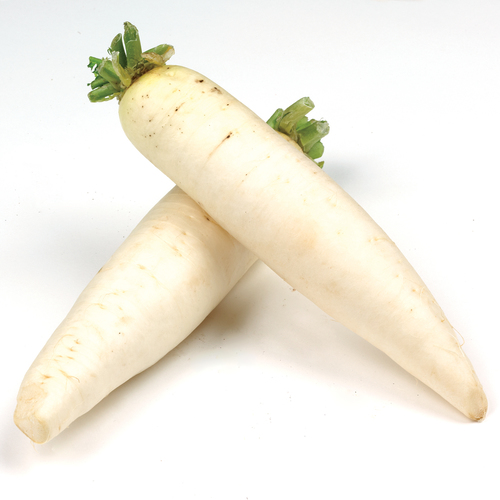 Buy Lo Bok Daikon Radish 1 Count | FreshCo