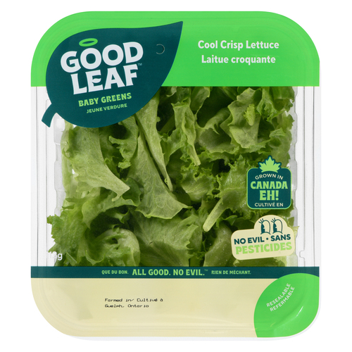 Buy GoodLeaf Cool Crisp Lettuce 113 g | Safeway Canada