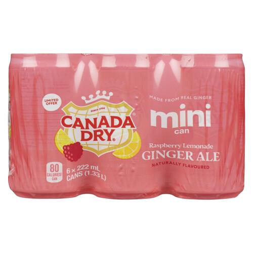 Buy Canada Dry Soft Drink Ginger Ale Raspberry Lemonade 6 x 222 ml ...