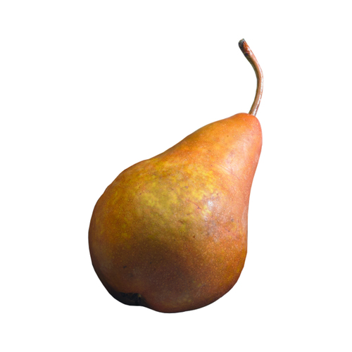 Buy Bosc Pear | Sobeys Inc.