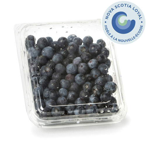 Buy Wild Blueberries 1 L | Sobeys Inc.