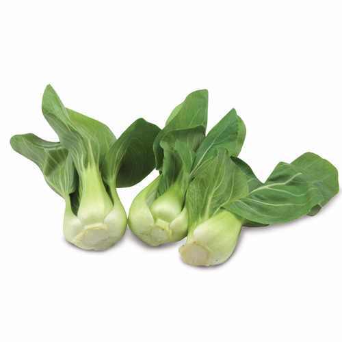 Buy Baby Shanghai Bok Choy 454 g | Sobeys Inc.