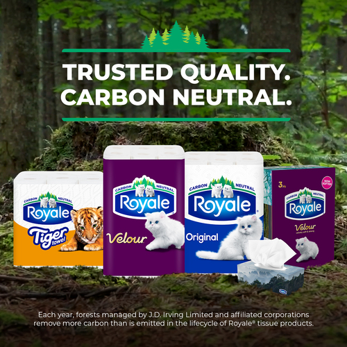 Buy Royale Facial Tissues Velour 3-ply 1 Family Box | Safeway Canada