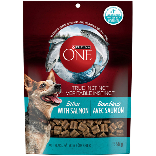 Buy Purina ONE Dog Treats True Instinct Bites Salmon 566 g | Sobeys Inc.