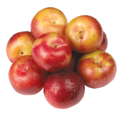 Buy Dapple Pluot 908 g | Sobeys Inc.