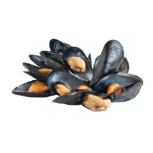 Buy Ocean Wise Newfoundland Cultivated Mussels | Sobeys Inc.