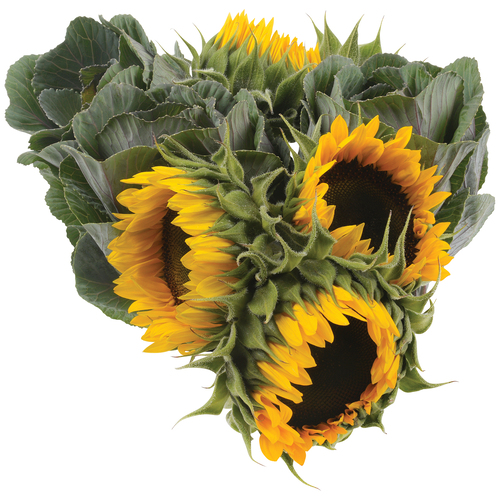 Buy Autumn Fields Bouquet 1 Count | Sobeys Inc.
