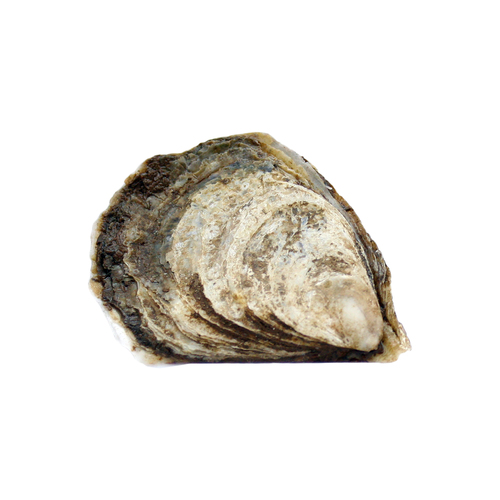 Buy Ocean Wise Oysters Raspberry Point 1 Count | Sobeys Inc.