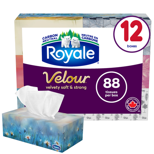 Buy Royale Facial Tissue 3-Ply 12 Boxes x 88 Sheets | Sobeys Inc.
