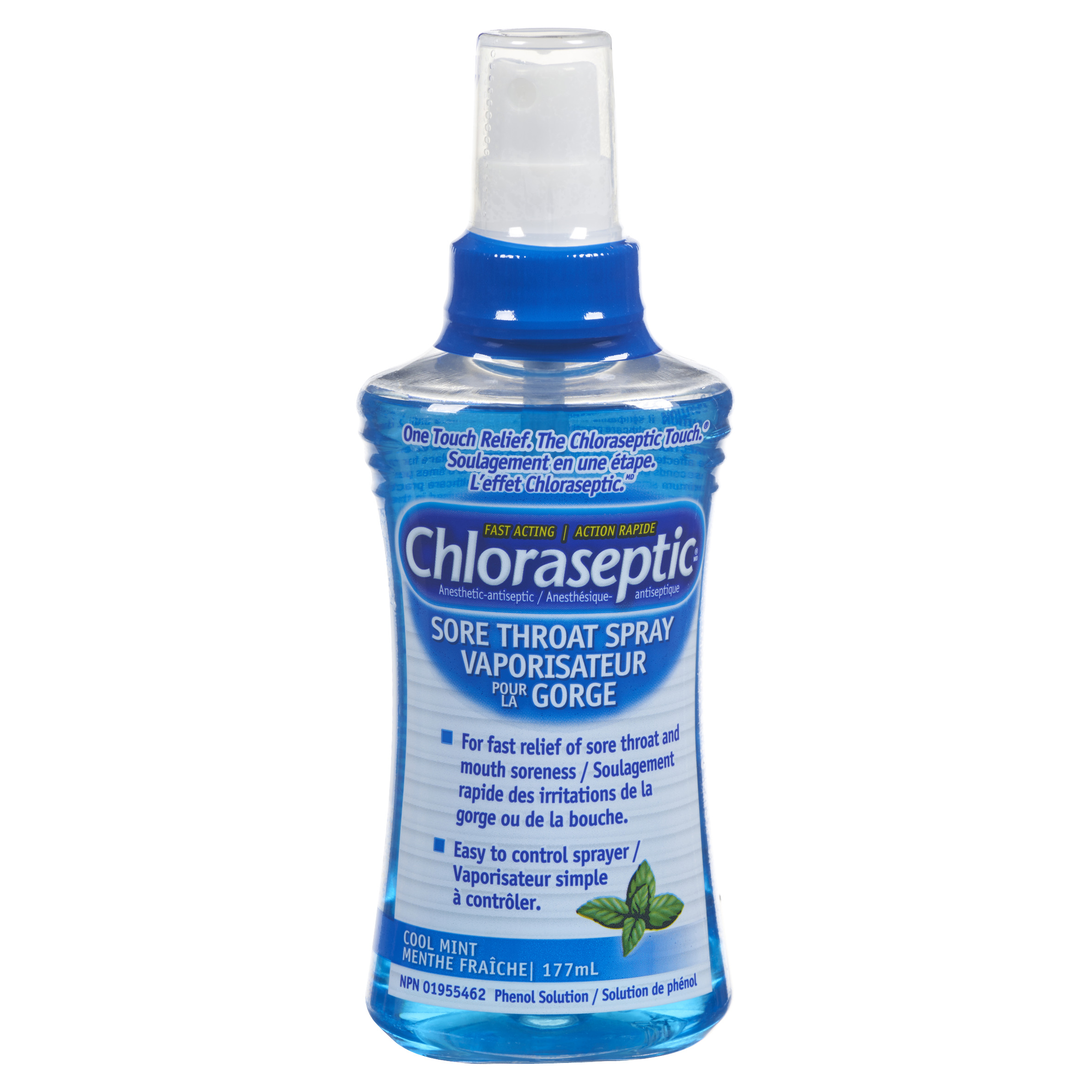 Buy Chloraseptic Spray Cool Mint 117 ml | Sobeys Inc.