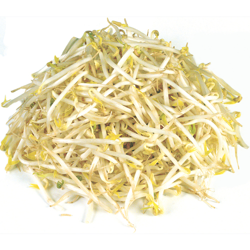 Buy Bean Sprouts 325 g | Sobeys Inc.
