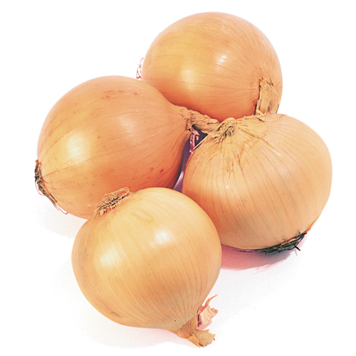 Buy Yellow Onions Small 1 Count | FreshCo