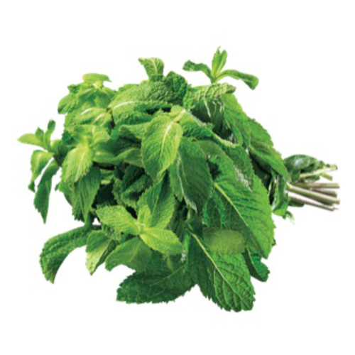 Buy Mint 1 Bunch | FreshCo