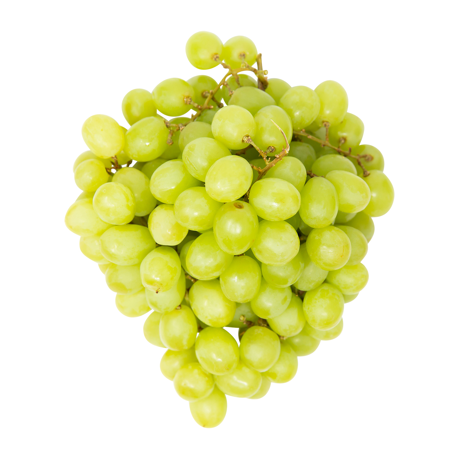 Buy Seedless Green Grapes 907 g | Sobeys Inc.