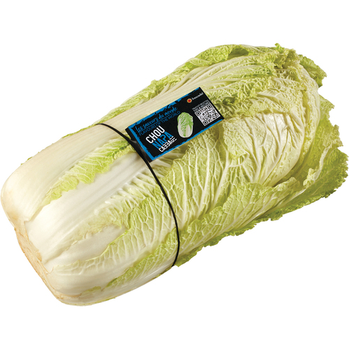 Buy Nappa Cabbage 1 Count | Sobeys Inc.