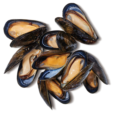 Buy Product of NL Fresh Mussels 908 g | Sobeys Inc.